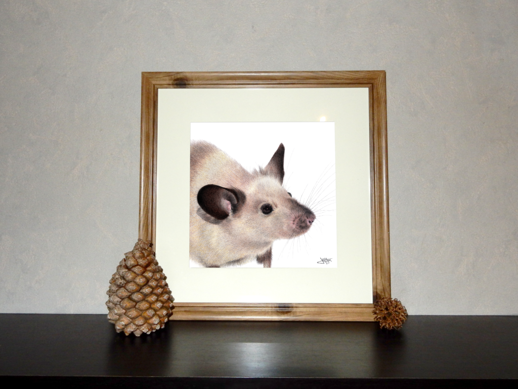 Rat - Print, portrait réaliste par Jessy Megan